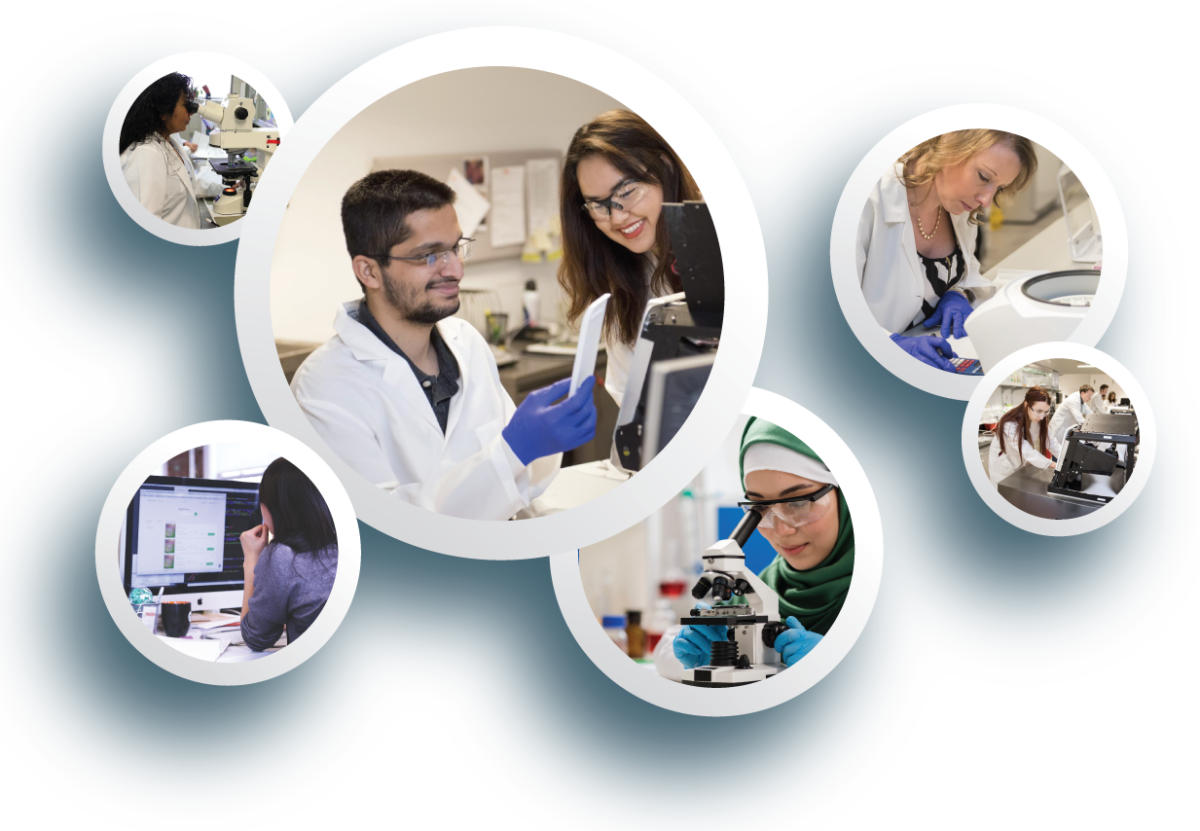 UEL | University Enterprise Laboratories